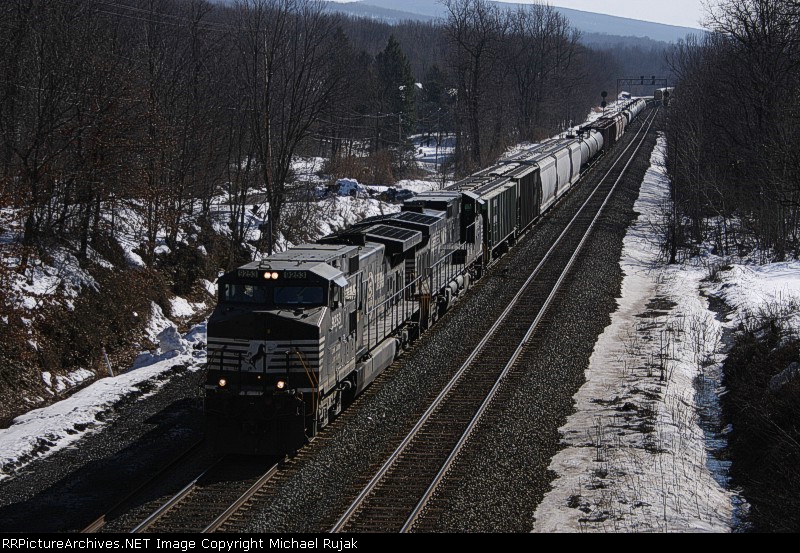 NS 9253